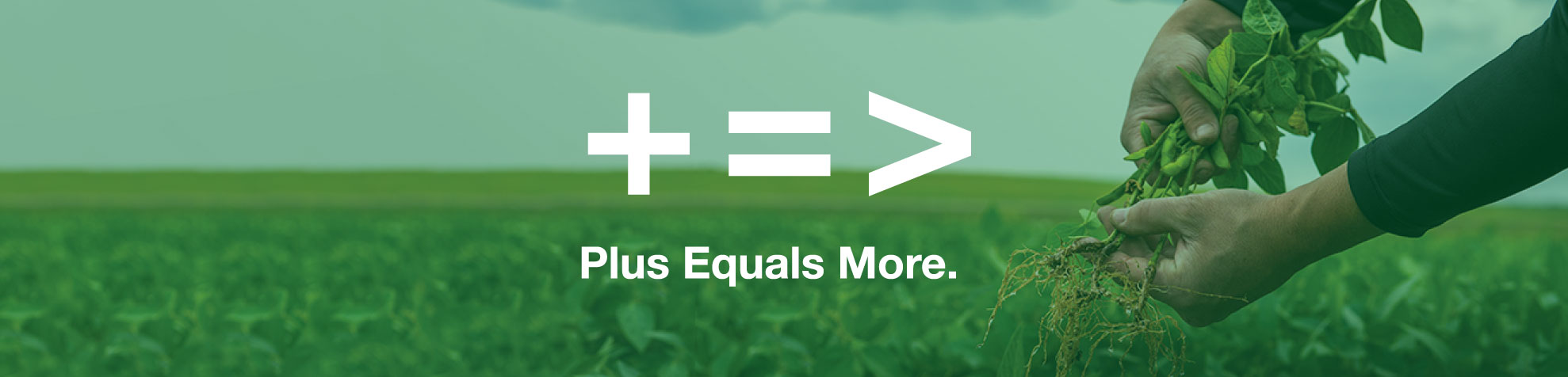 Vault IP Plus Seed Treatment | Agriculture | BASF